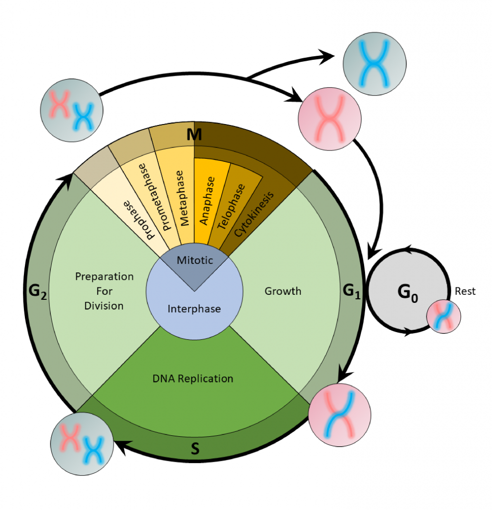 An Introduction to Biology - Smart Edition Nursing
